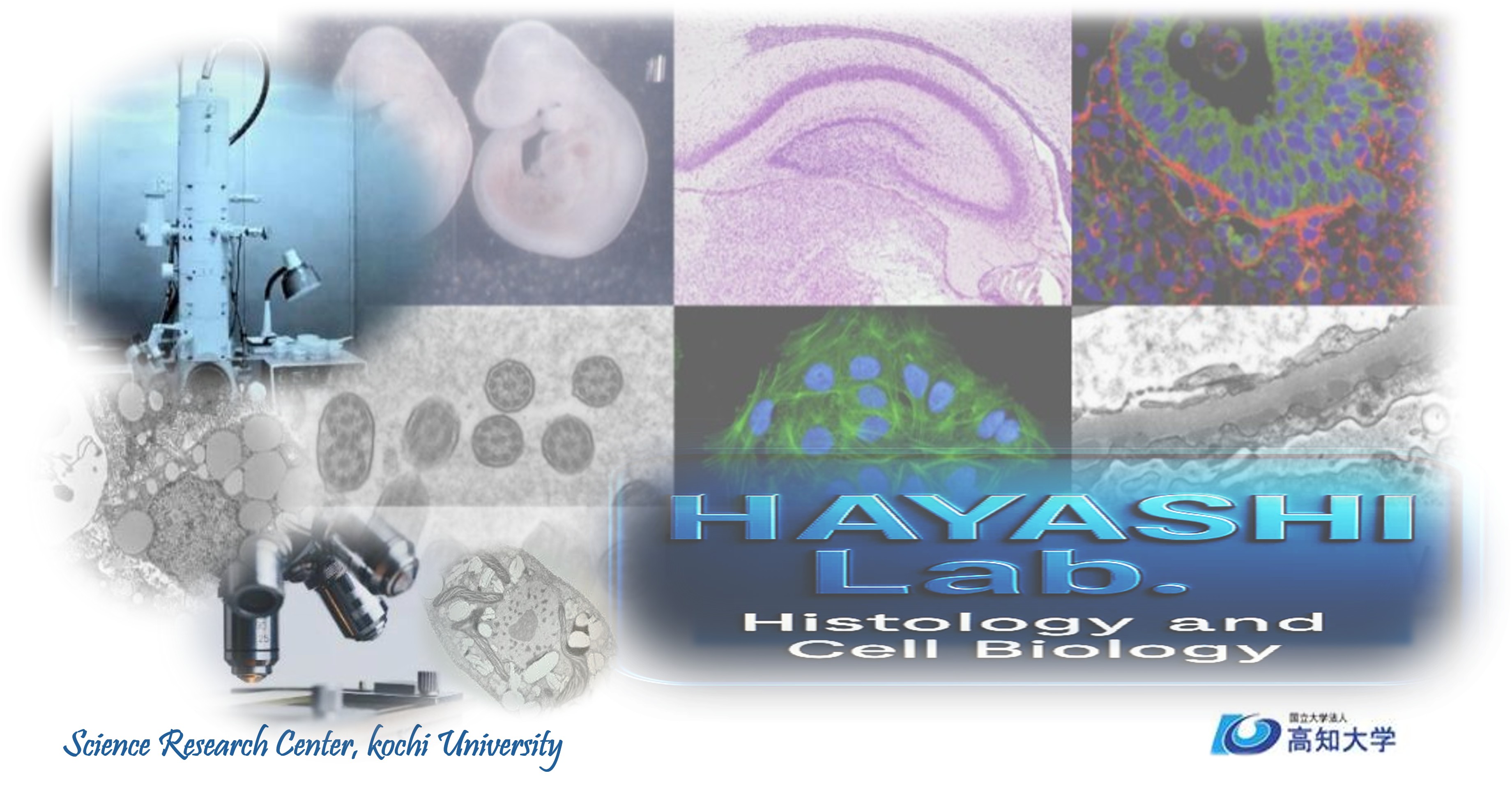 トップページ | Hayashi Lab